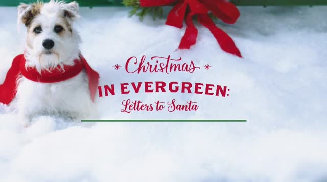 Hallmark Media International