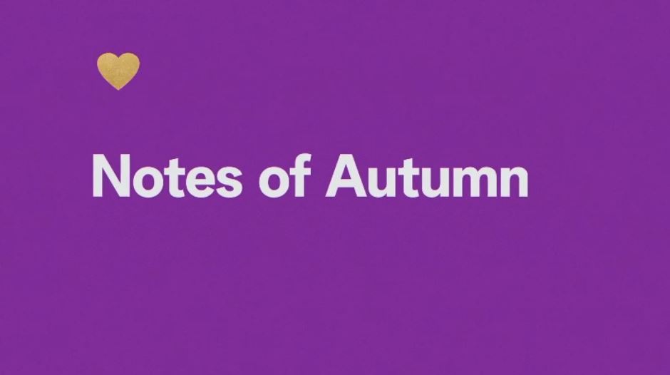 Hallmark Media International