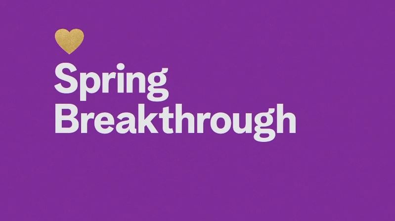 Hallmark Media International